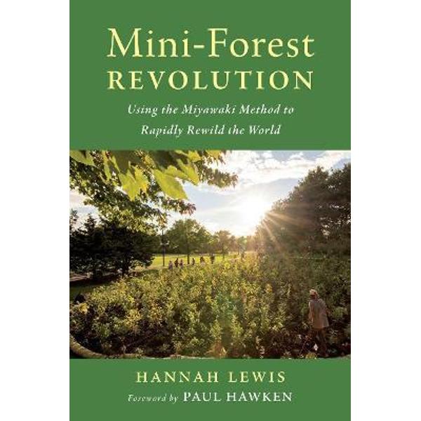 Mini-forest Revolution: Using The Miyawaki Method To Rapidly Rewild The ...