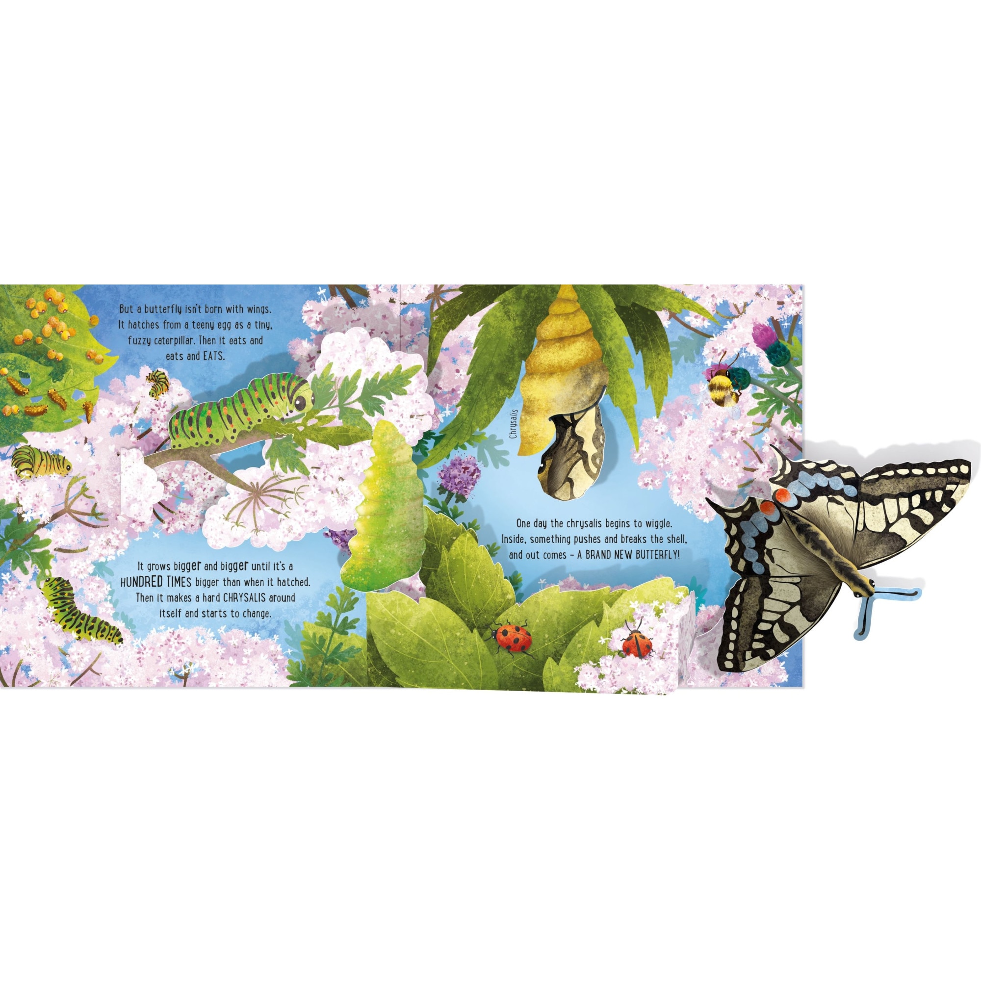Carte de tip Pop up, Butterflies, Usborne - eMAG.ro
