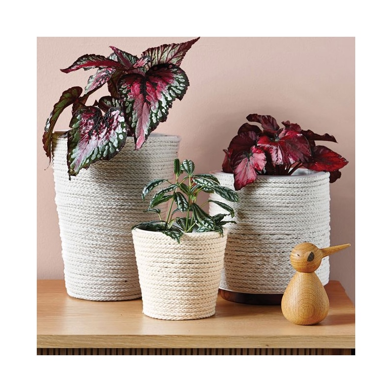 Funie decorativa, Bumbac, 12 m, Alb - eMAG.ro