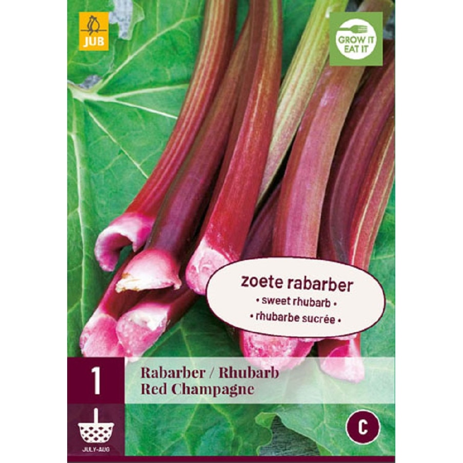 Butas de rizom, Rubarba Red Champagne, Jub Holland, 1 buc - eMAG.ro