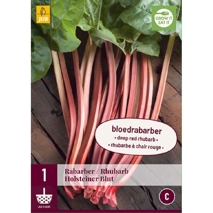 Butas de rizom, Rubarba Holsteiner Blut, Jub Holland, 1 buc - eMAG.ro