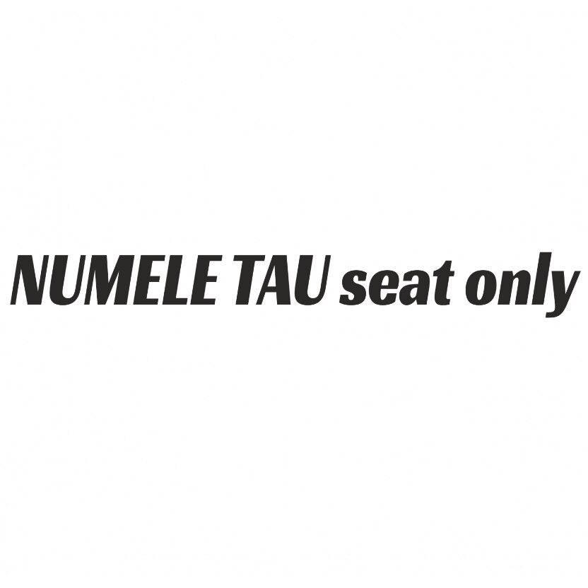 Sticker Personalizat Seat Only 20 cm, Creative Rey® - eMAG.ro