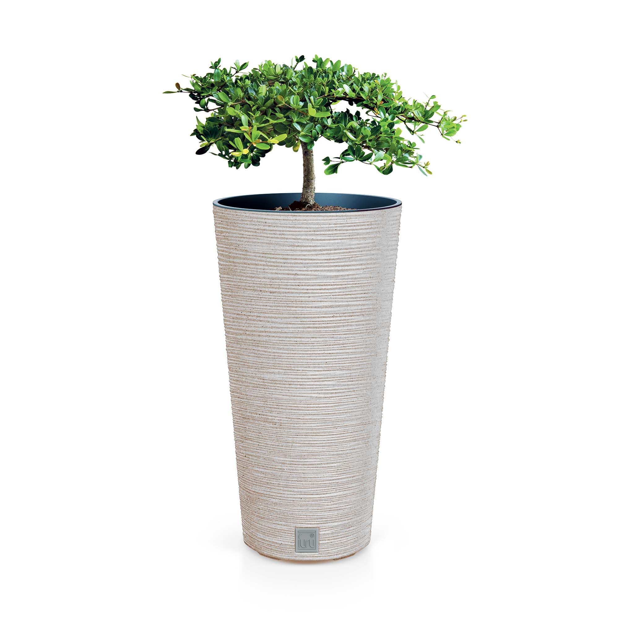 Set 2X Ghiveci Inalt Decorativ Pentru Floricu Insertie, Prosperplast ...