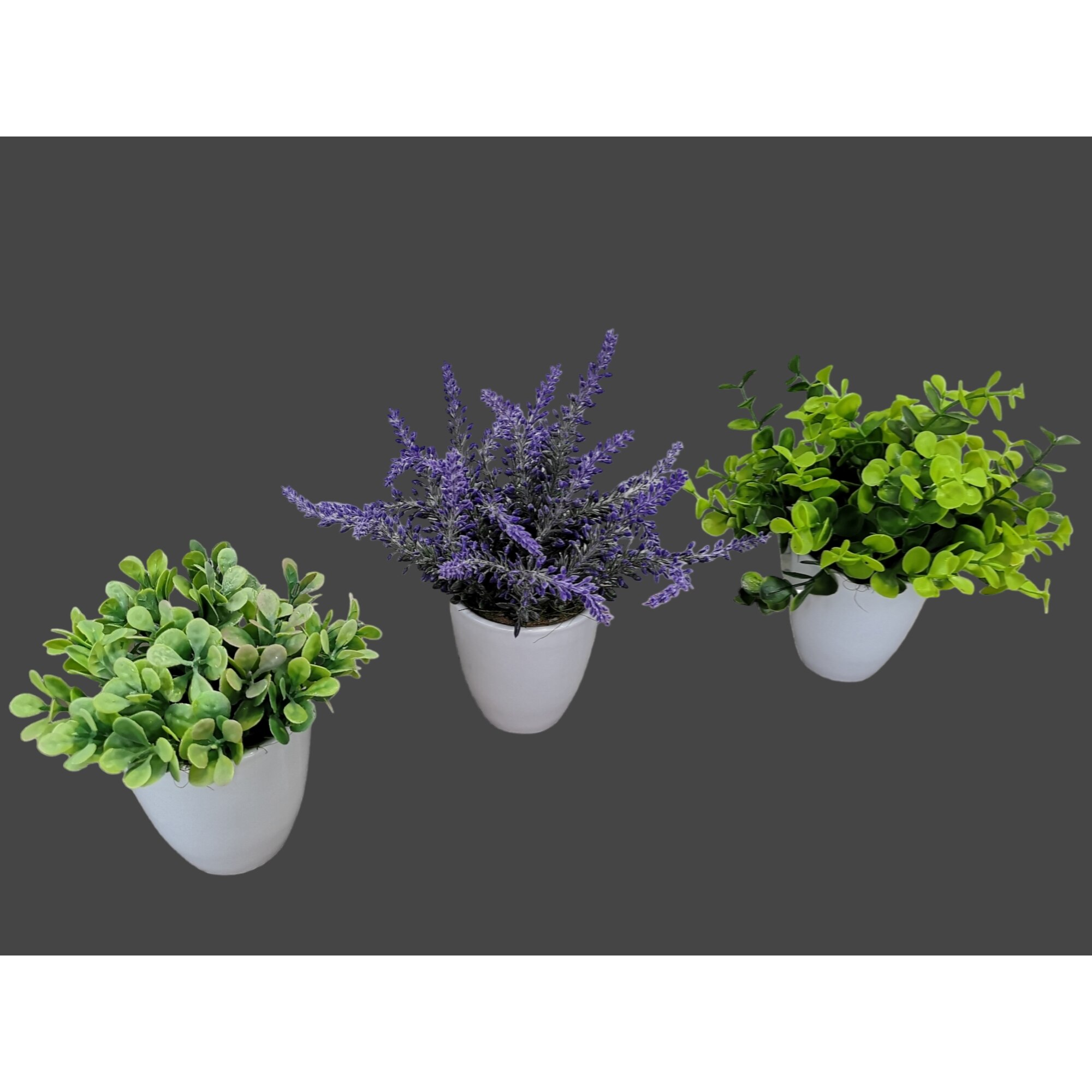 Set de 3 plante artificiale in ghivece albe din ceramica, Dady, plante decorative 16 cm, 15 cm ...