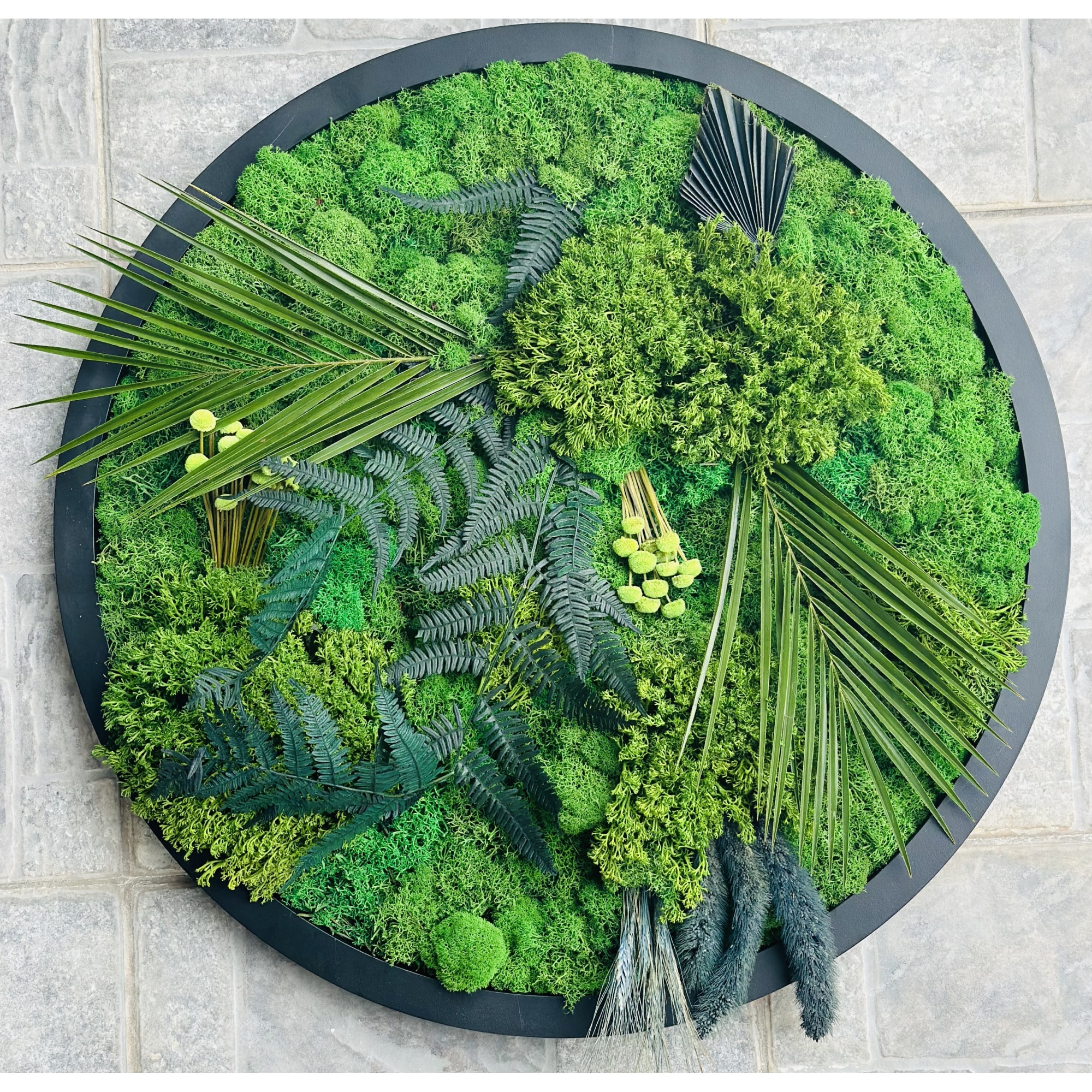 Tablou rotund cu licheni si plante stabilizate, iluminat, 50 cm - eMAG.ro