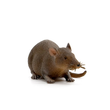 Sobolan de cauciuc, Icom Poland, +3 ani, Maro - eMAG.ro