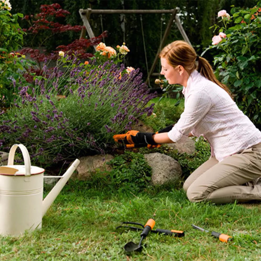 Grebla de gradina, Bradas, Plastic/Otel, Negru - eMAG.ro