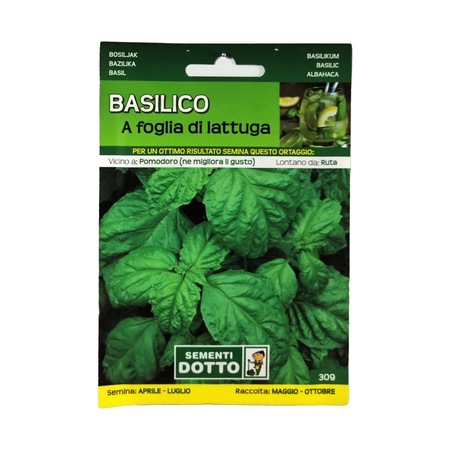 Seminte de Busuioc, Frunza de salata, plic 3,5 grame - eMAG.ro