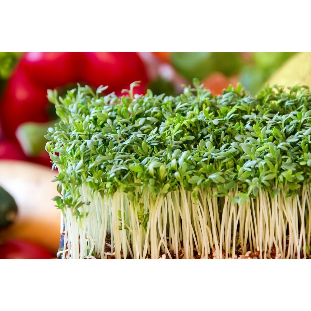 Seminte de creson, Pnos, 20g - eMAG.ro