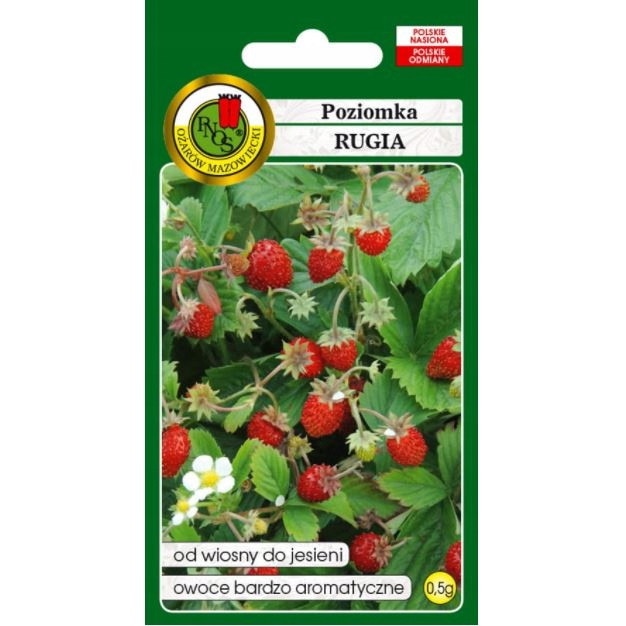 Seminte de capsune, Pnos, 0.5g - eMAG.ro