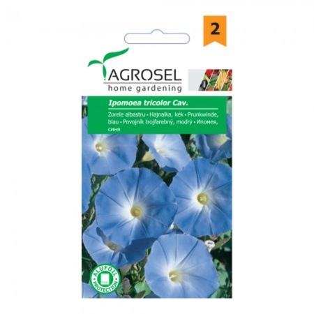 Seminte flori Zorele pitice albastru, Agrosel, 2 grame - eMAG.ro