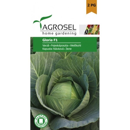 Seminte Varza Gloria F1, Agrosel, 100 seminte - eMAG.ro