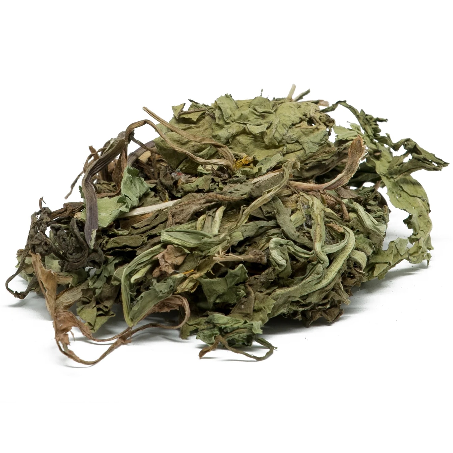 Pitypang tea "Taraxacum-officinale" levelek, 20 tasak, StefMar Valcea ...