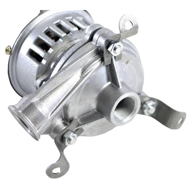 Pompa electrica de apa potabila cu capacitate de 3/4 inch - eMAG.ro