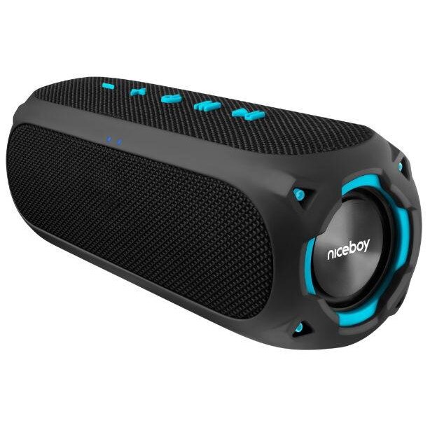 Boxa portabila Niceboy Raze Radion 4, Wireless, 30 W, Bluetooth 5.0, FM ...