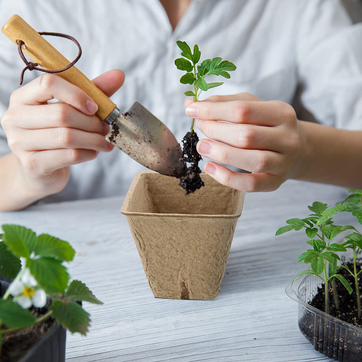 Ghivece pentru rasaduri, biodegradabil, set 24 bucati - eMAG.ro