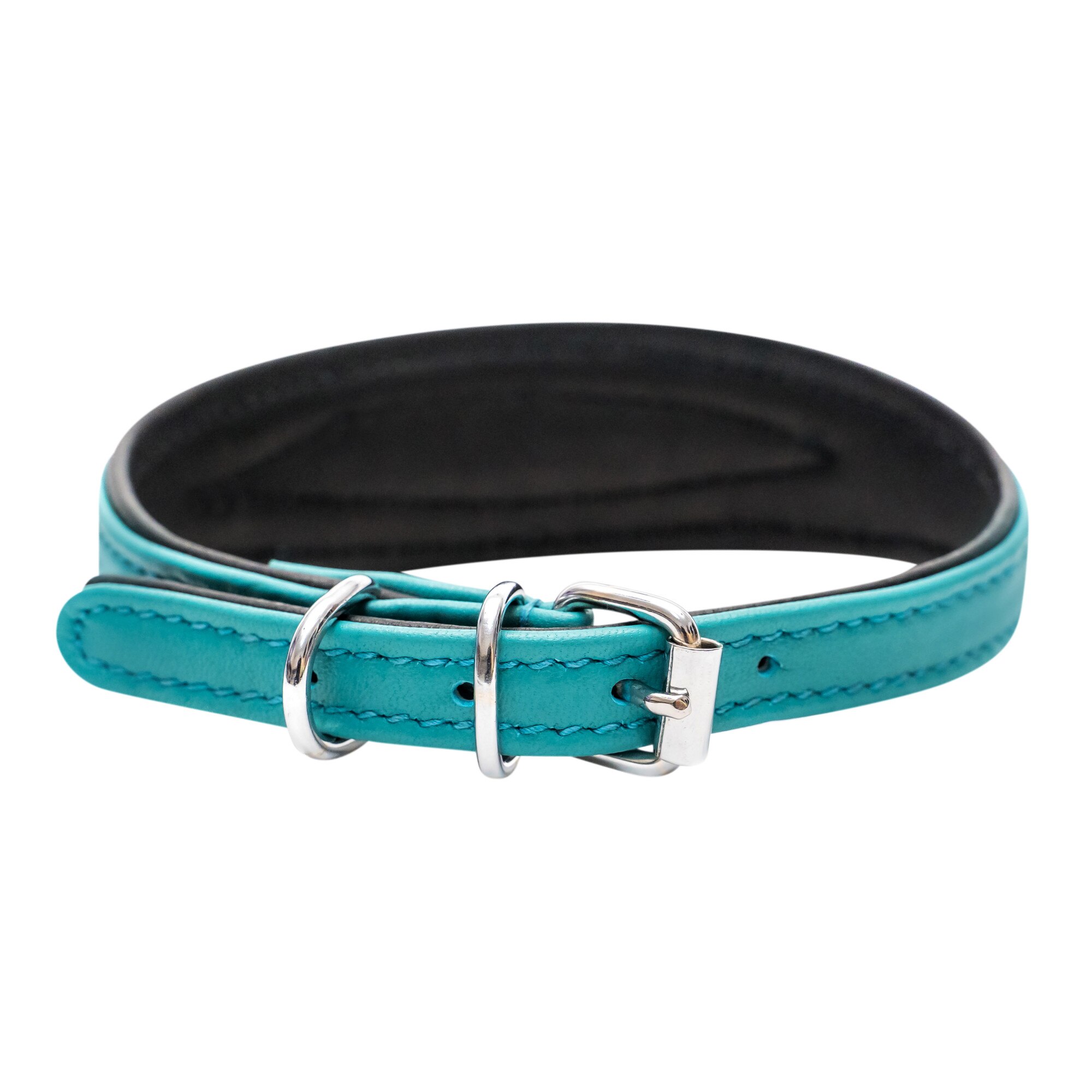 Zgarda caine vanatoare Let's Glow, piele naturala turquoise cu negru ...
