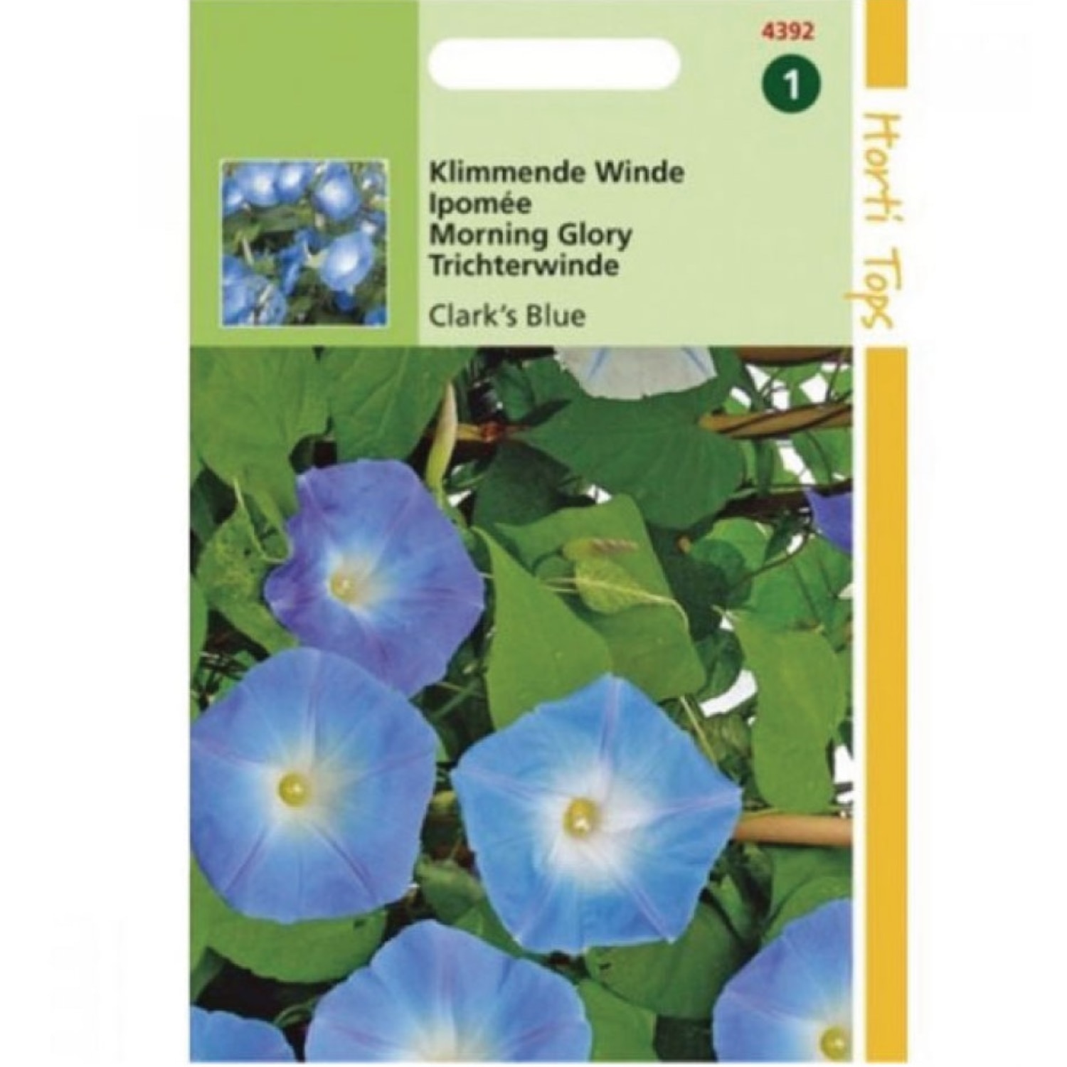 Seminte IPOMOEA BLUE – zorele albastru, 2 g - eMAG.ro