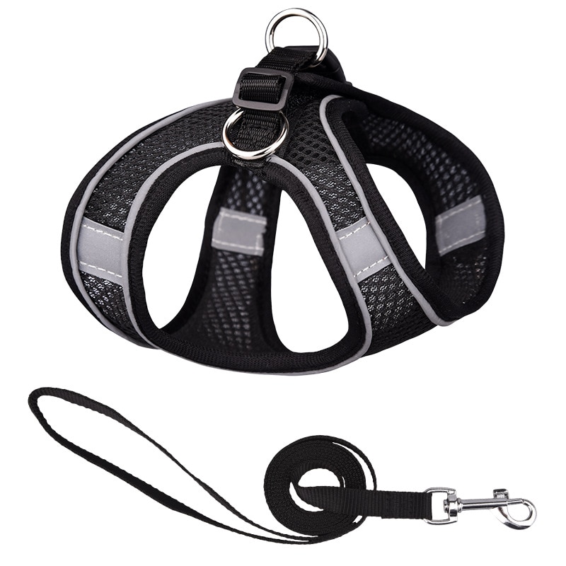 Set lesa/ham pentru catei/pisici, Nylon/Textil, 1.5m, Reflecrorizant ...