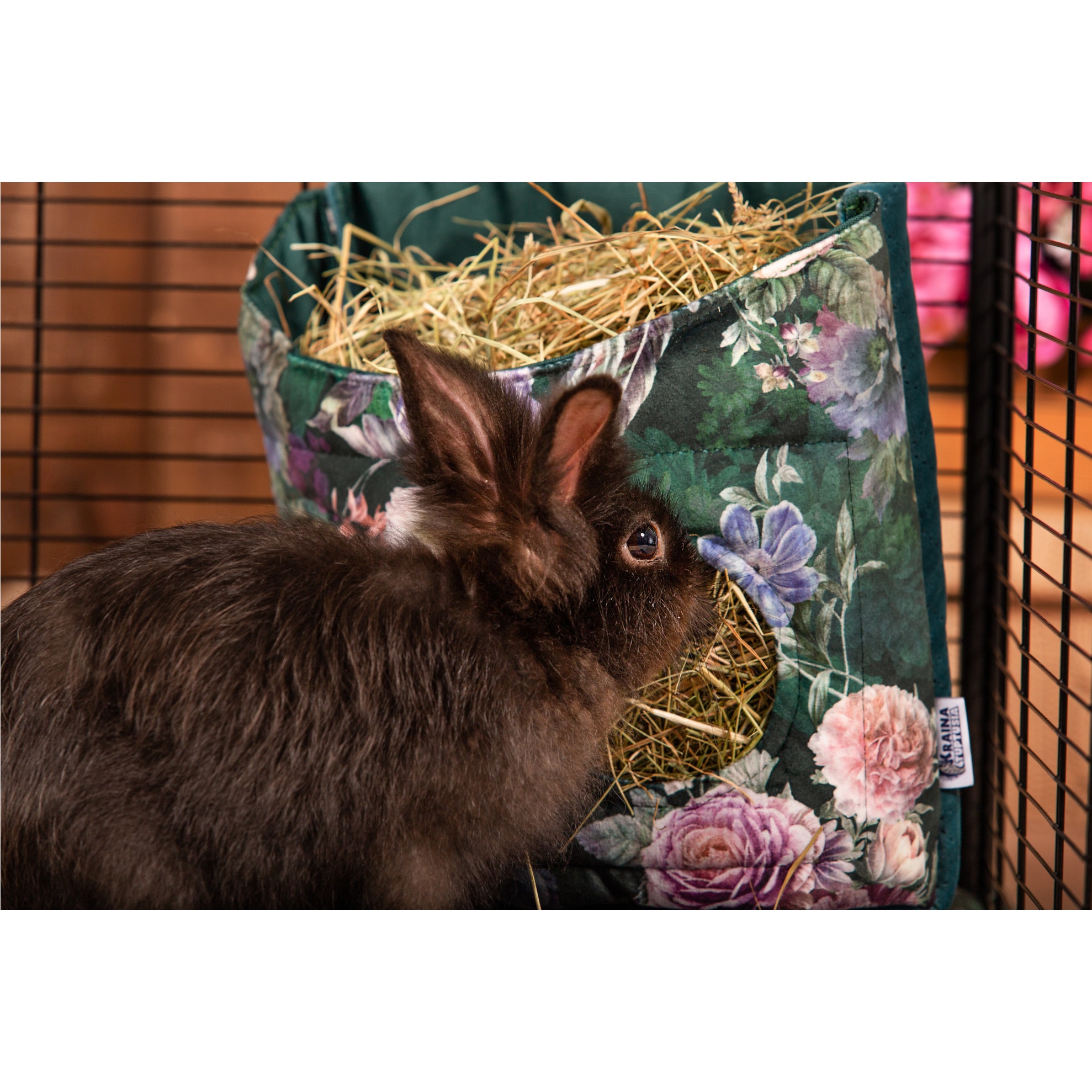 Hranitoare mare de fan pentru iepuri si rozatoare, Kraina Tuptusia ...