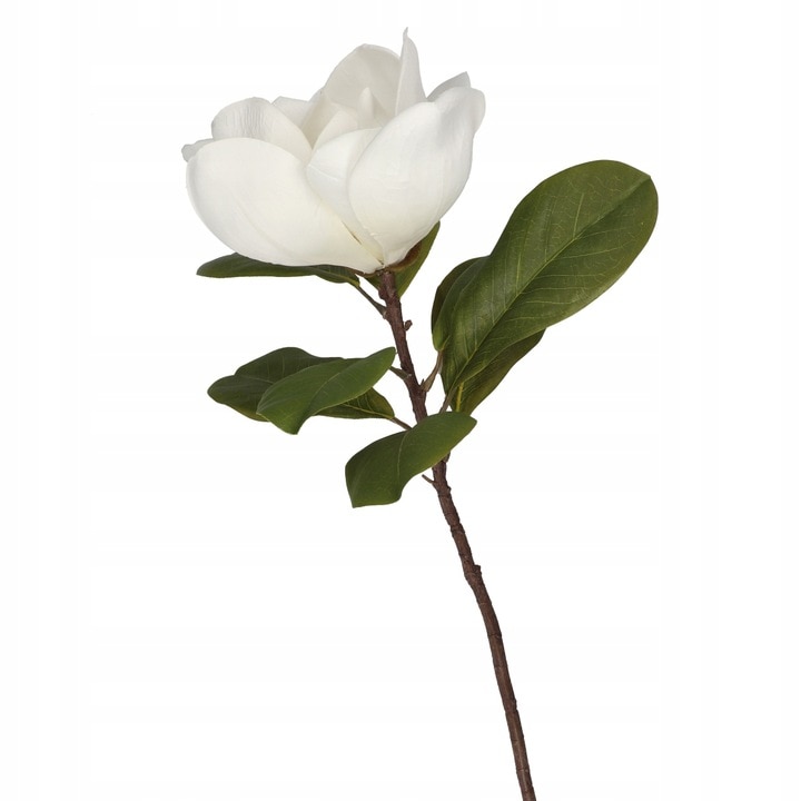 Floare artificiala, Homla, Magnolie, Plastic, 70cm, Verde/Alb - eMAG.ro