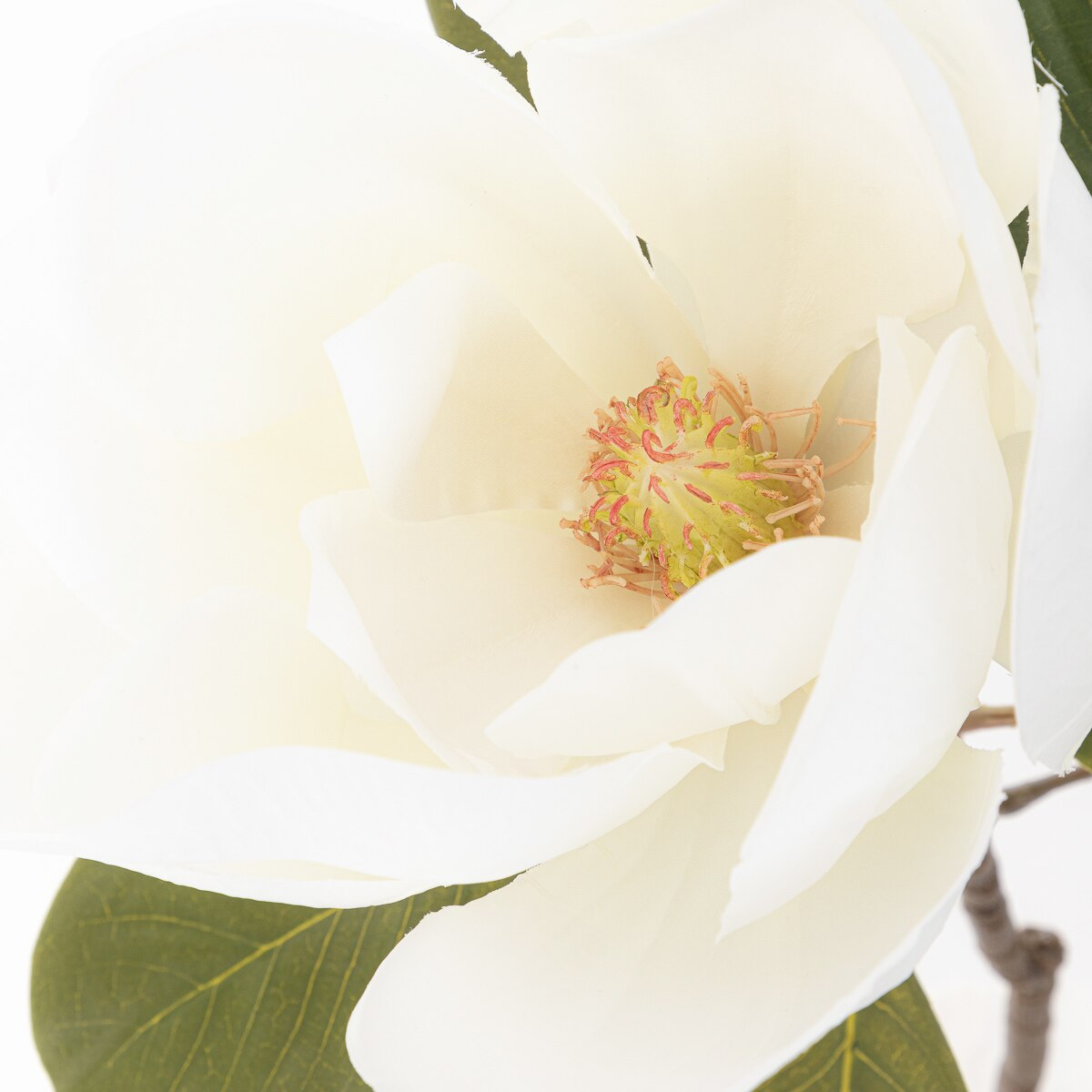 Floare artificiala, Homla, Magnolie, Plastic, 70cm, Verde/Alb - eMAG.ro