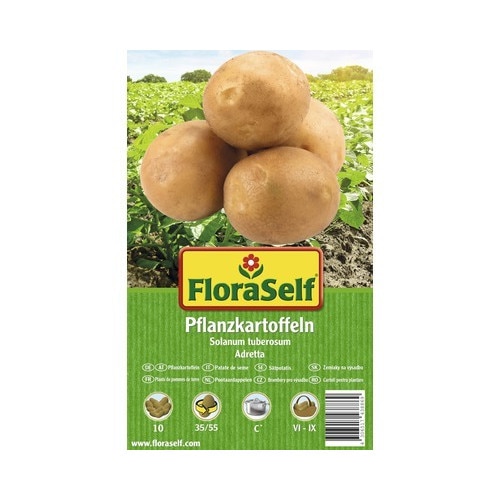 Bulbi cartof Adretta, 10 buc - eMAG.ro