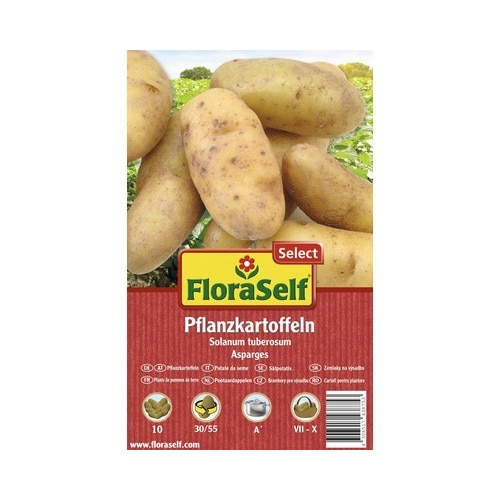 Bulbi cartof Asparges, 10 buc - eMAG.ro