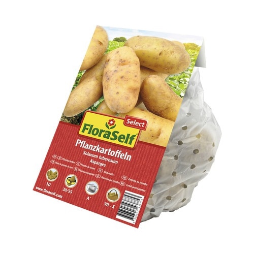 Bulbi cartof Asparges, 10 buc - eMAG.ro