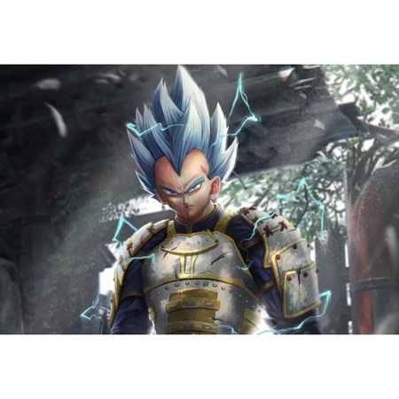 Poster Samurai Vegeta Dragon Ball, 61x90cm, poster2965, Multicolor ...