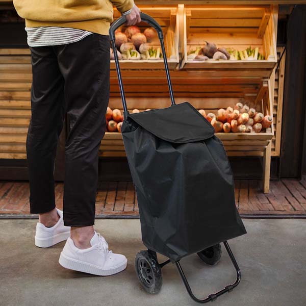 Carucior pentru cumparaturi cu 2 roti, maner telescopic, Frandis, 42 ...