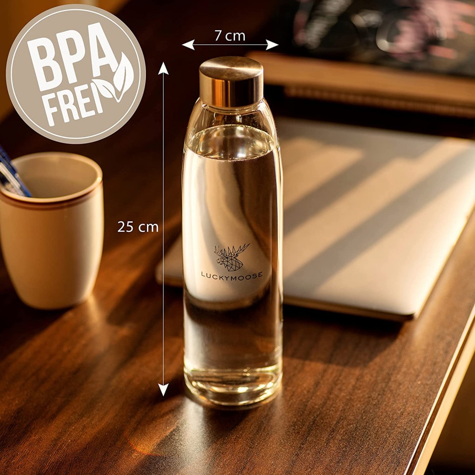 Sticla pentru apa Luckymoose, borosilicata, transparent/argintiu, 675 ...