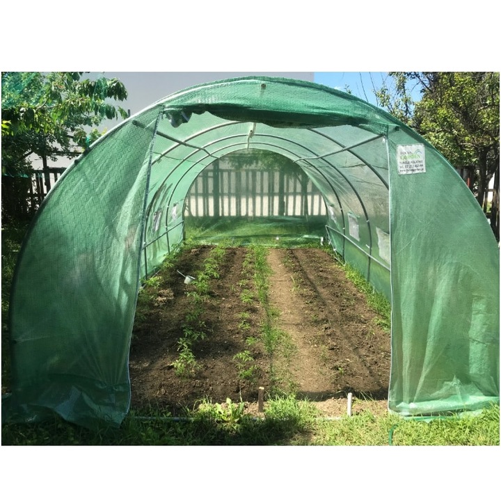 Solar gradina cu schelet metalic 6 x 3 m, verde - eMAG.ro