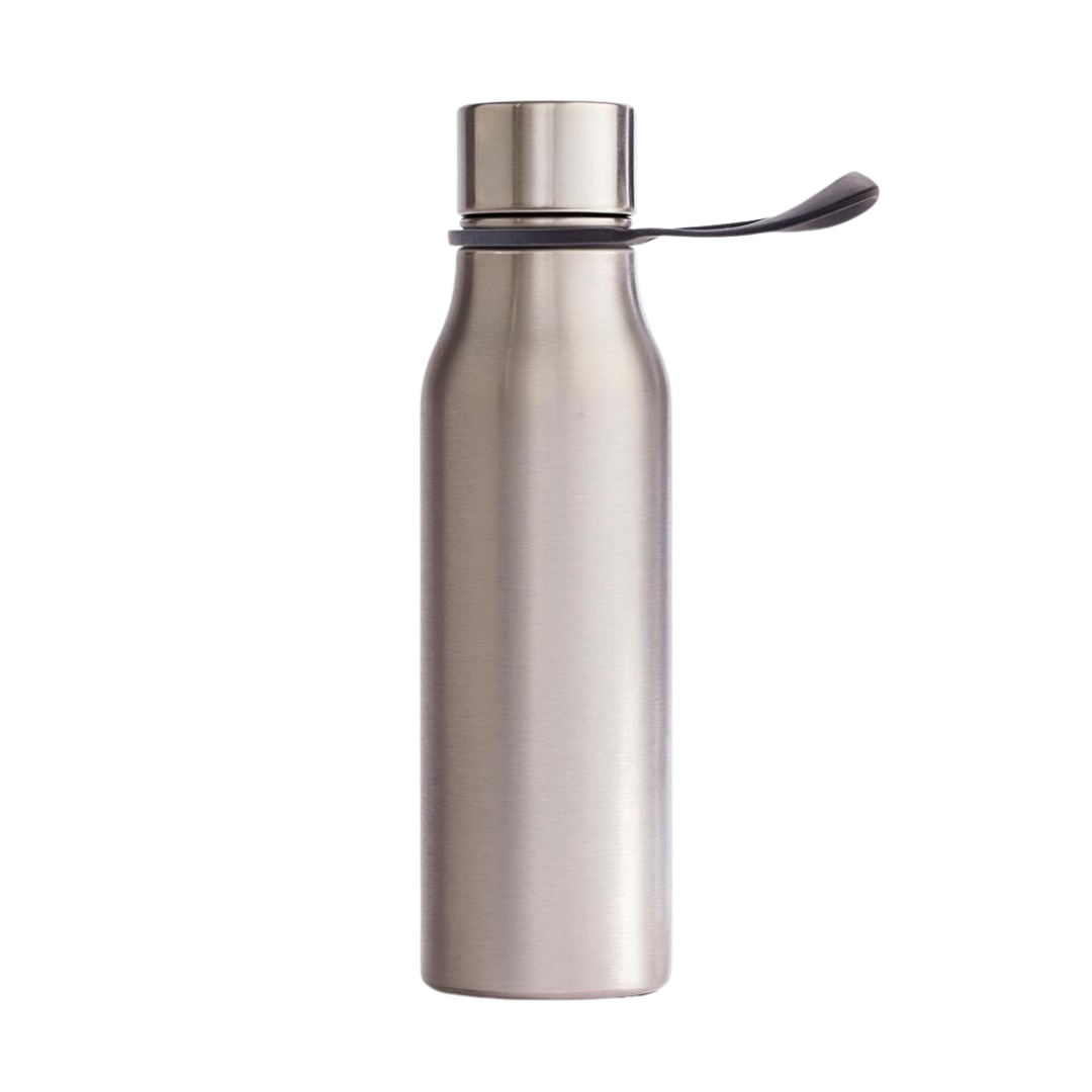 Sticla Steel pentru apa 0,5 l, Ronic, din otel inoxidabil, cu maner de ...