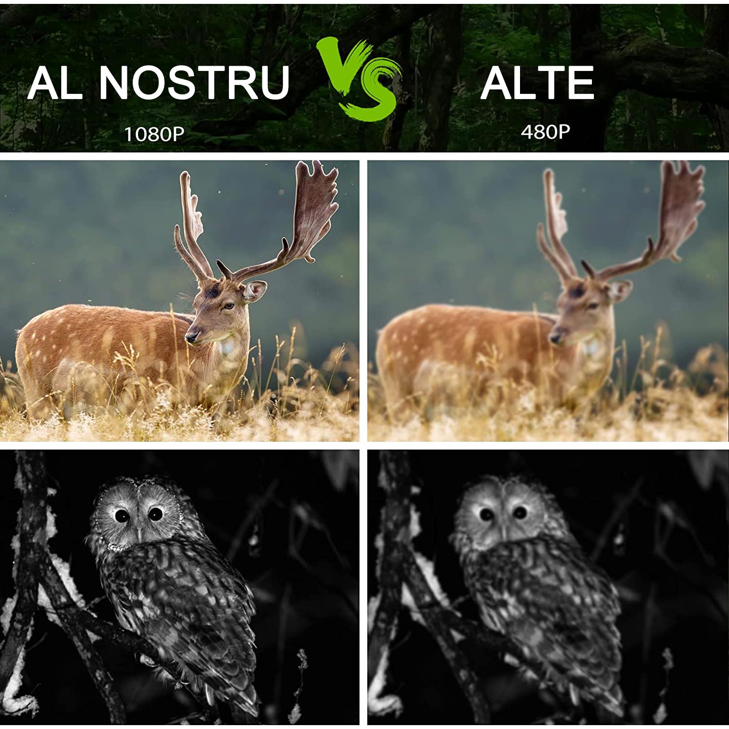 Binoclu, Vaxiuja, inregistrare video, Rezistent La Apa, pentru ...