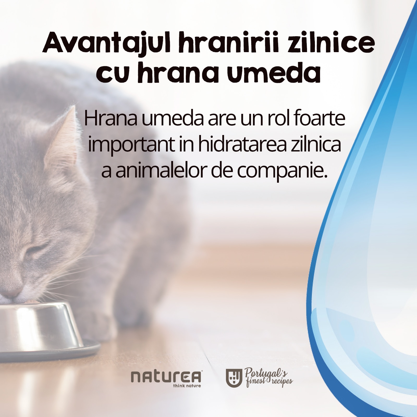 Hrana umeda pentru pisici, Naturea, Pastrav si Somon, conserva, 85 gr ...