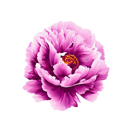 Sticker decorativ, Floare, Roz, 57 cm, 6362ST - eMAG.ro