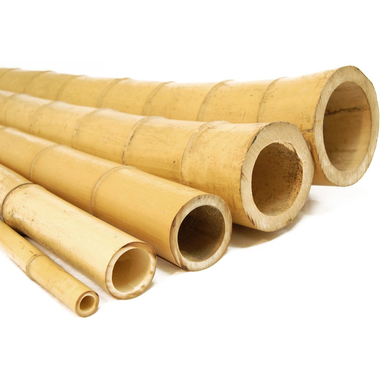 Bambus Decorativ Dixiestore 240 cm 60/80 mm - eMAG.ro