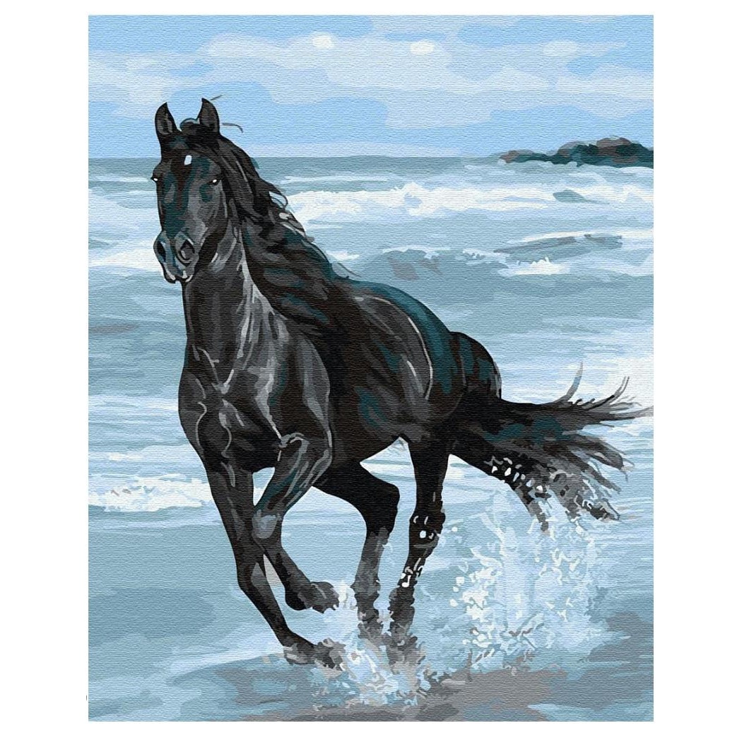 Set pictura dupa numere cu cal, Artnapi, 40 x 50 cm, Multicolor - eMAG.ro