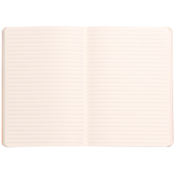 Notebook coperta moale din piele artificiala A5 Clairefontaine Rhodia ...