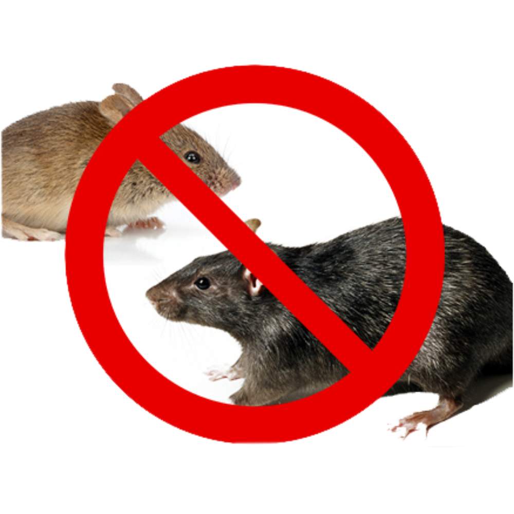 Инсектицид против плъхове Raticide Roban Paste, 3 кг - eMAG.bg