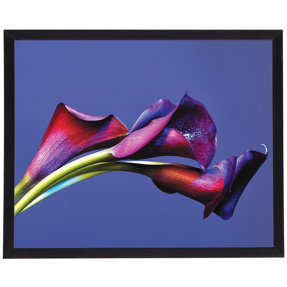 Afis modern, rama neagra, Postergaleria, 40x50 cm, Floare 17 - eMAG.ro