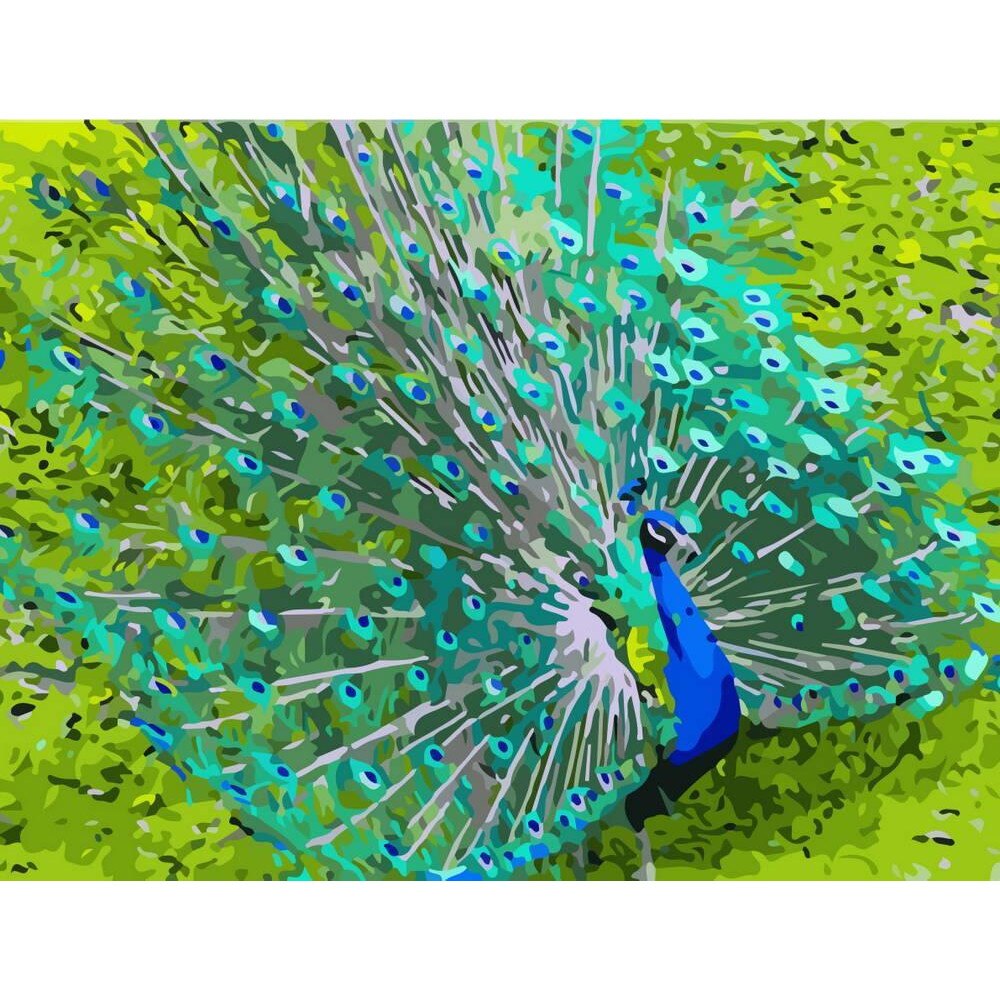 Set pictura dupa numere cu paun, Artnapi, 40 x 50 cm, Multicolor - eMAG.ro