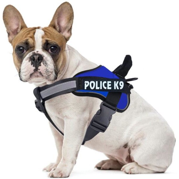 Ham pentru caini si catei police k9, marimea m, 50-70 cm albastru - eMAG.ro