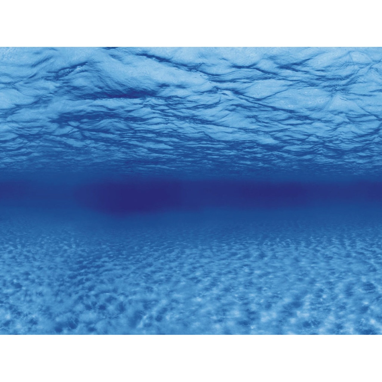 Fundal acvariu dublu Aqua Nova radacina / apa 100x50cm - eMAG.ro