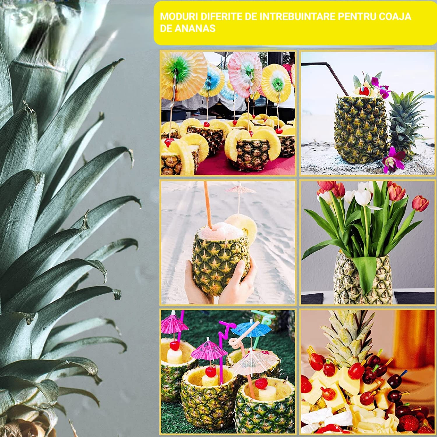 Cutit pentru feliat si decojit ananas DIGIMAT®, material metalic, usor ...