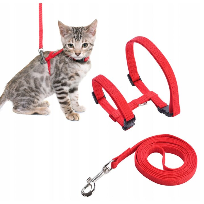 Set ham cu lesa pentru caini si pisici Petstory, Rosu - eMAG.ro