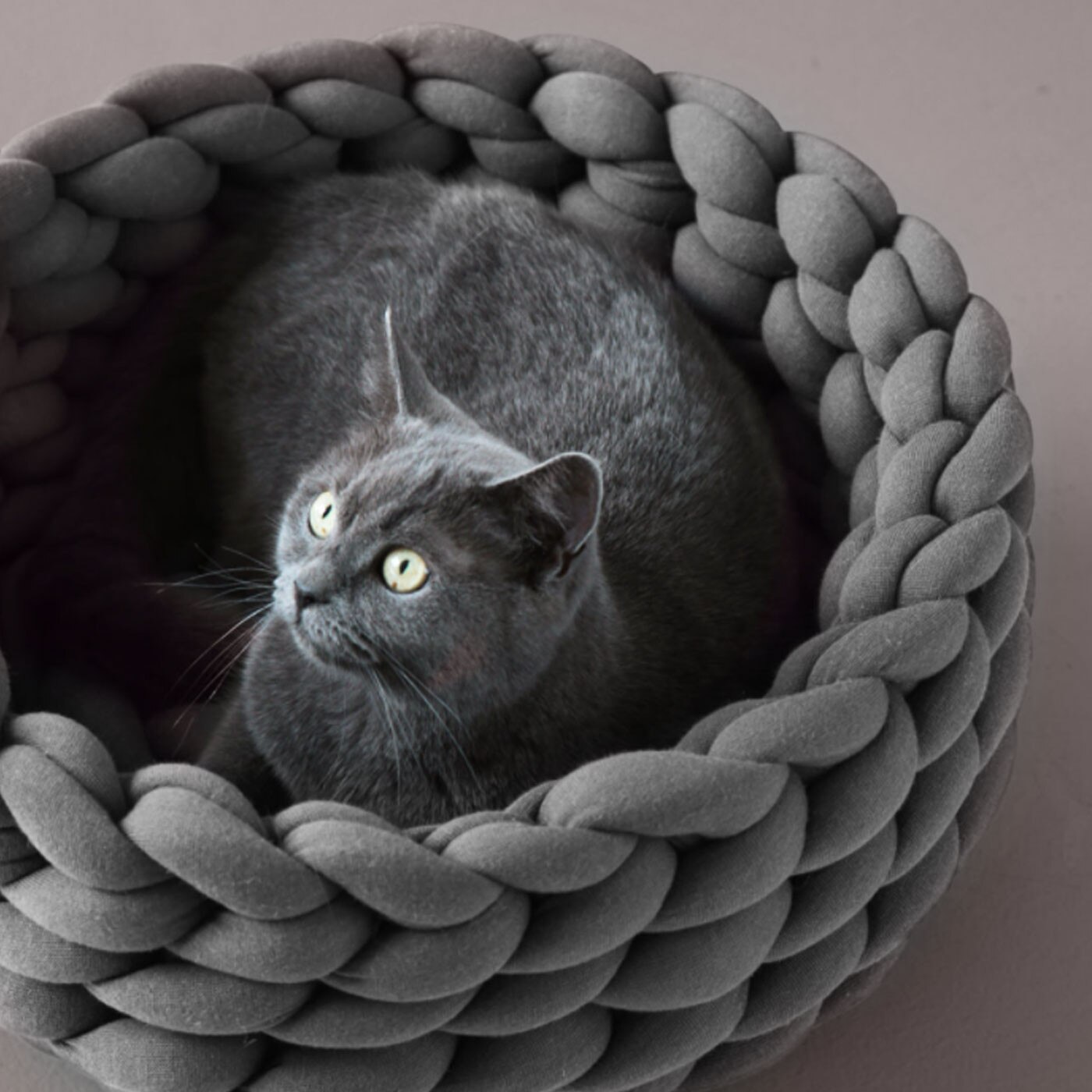 Pat pentru pisici/caini, Petstory, Model rotund, Gri - eMAG.ro