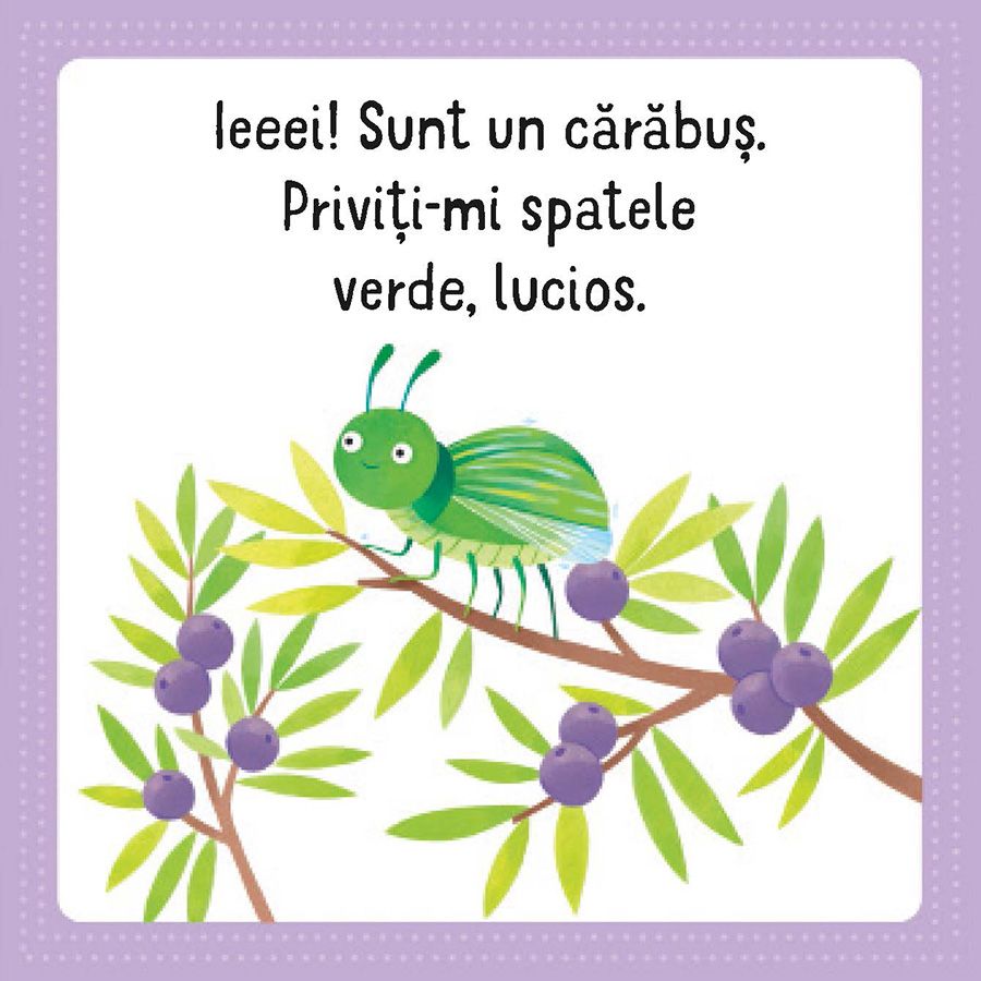 Primul meu puzzle cu carte, Insecte, Usborne Books - eMAG.ro