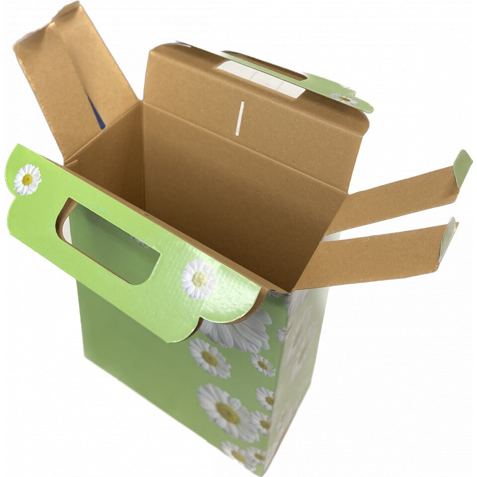 Cutie Carton Cadou Primavara 280x200x350 mm - eMAG.ro